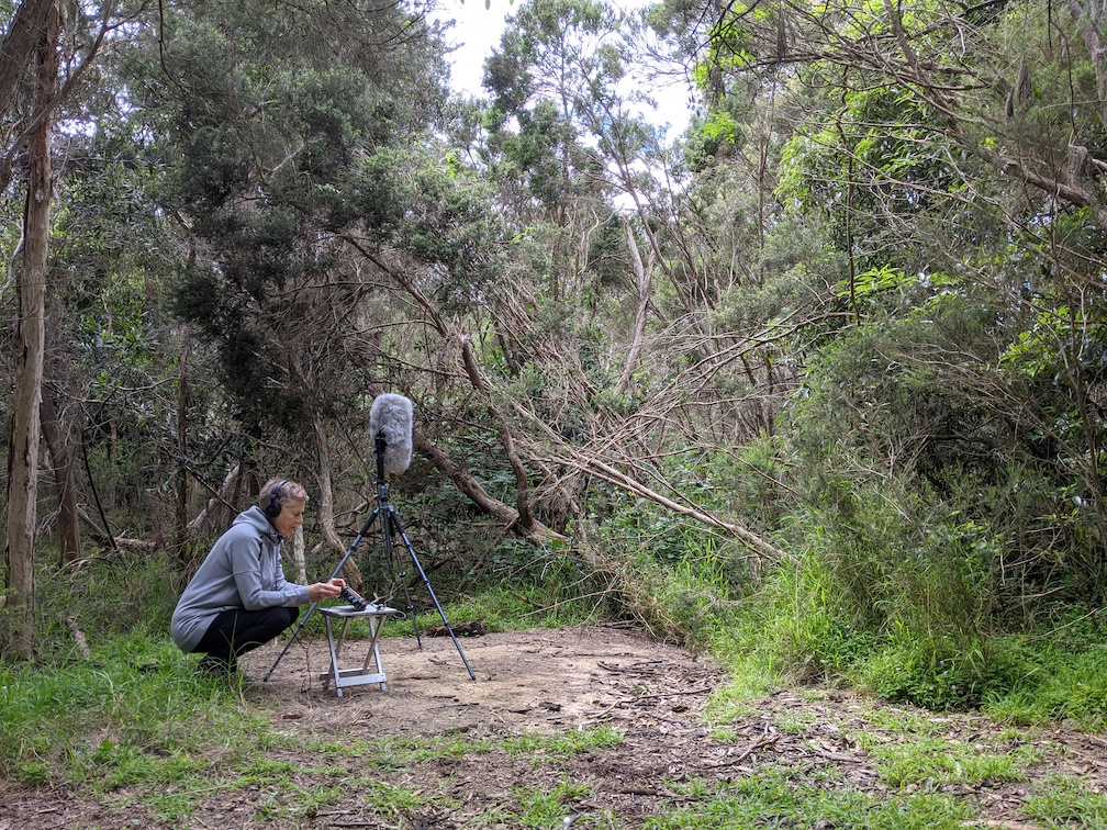 Bogong Centre for Sound Culture